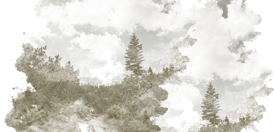 Maxam Limited – Distributors & Wholesalers of Alcoholic Beverages.