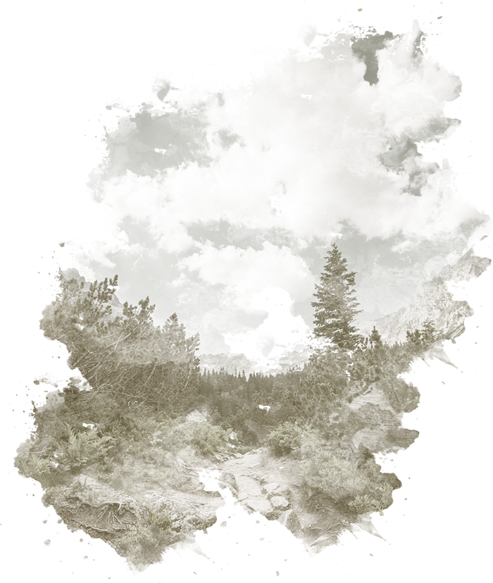 Maxam Limited – Distributors & Wholesalers of Alcoholic Beverages.