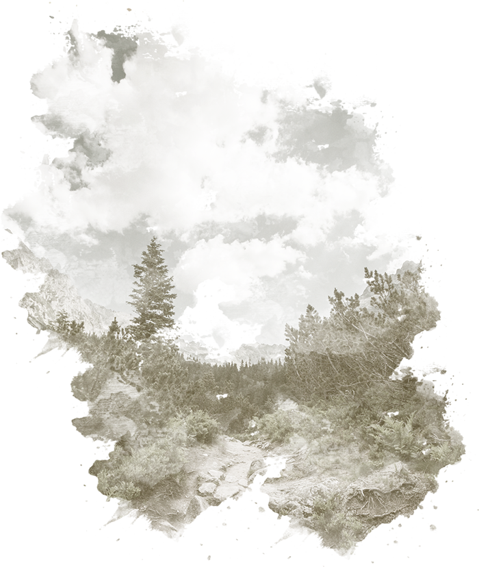 Maxam Limited – Distributors & Wholesalers of Alcoholic Beverages.